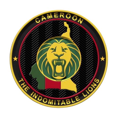 Cameroon National Soccer Team Baseball Cap - DZ Hats & Crafts